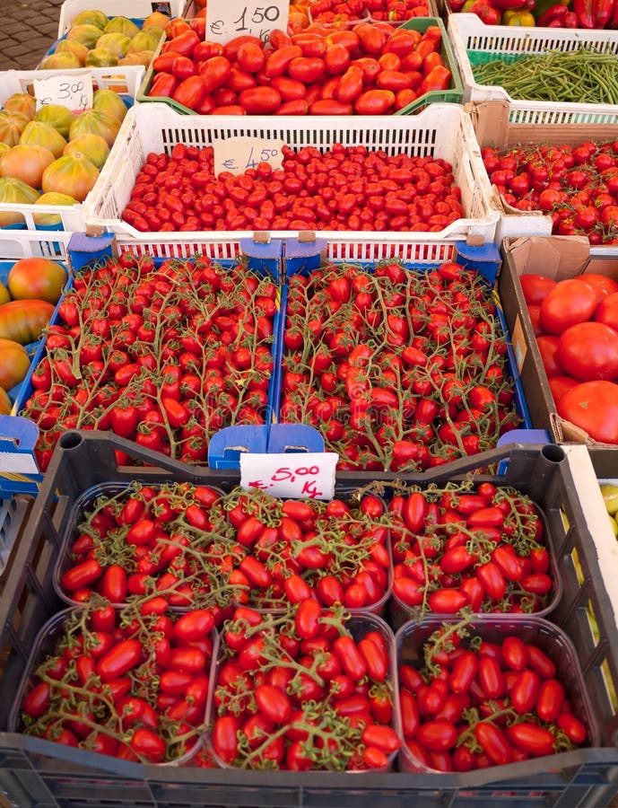 Tomatoes at the market stock image. Image of healthy - 21772213
