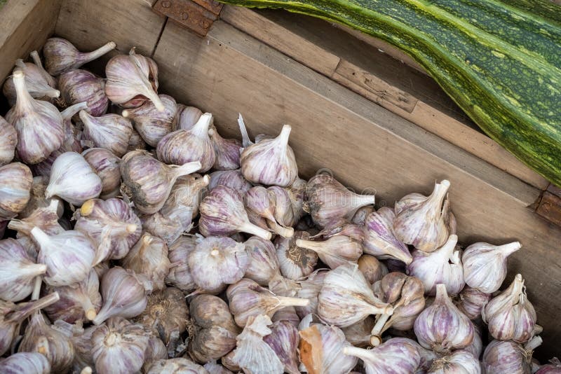 At the Market a Wooden Box Full of Garlic Stock Image - Image of ...