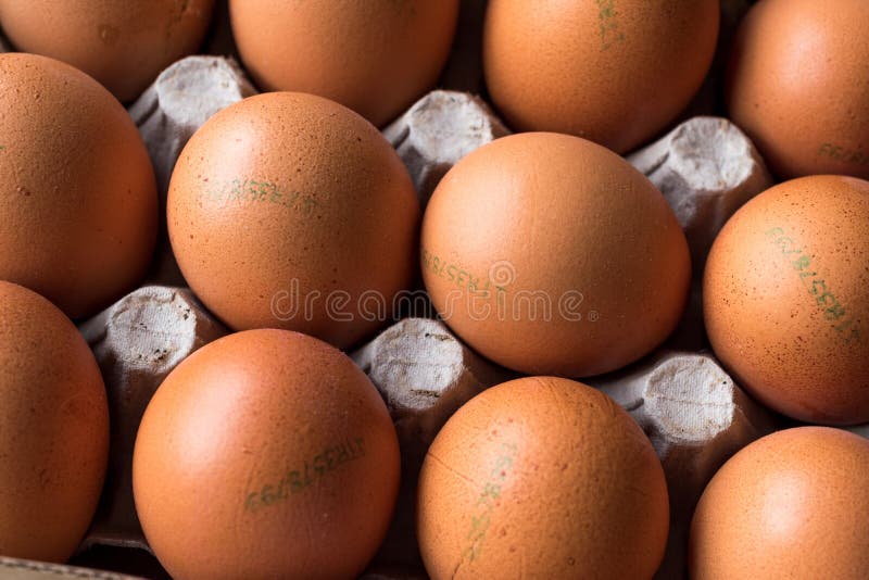 Marking Code Numbers Printed on Egg with Package / Container. Stock ...