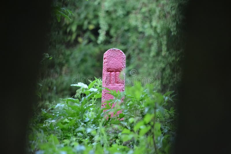 Mark concrete pillar stock image. Image of tree, leaf - 328076397
