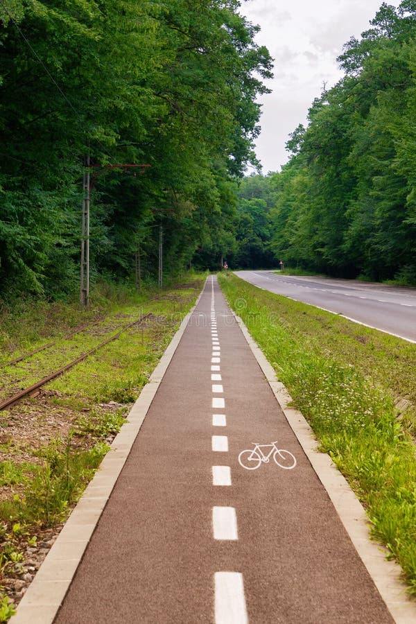 Marking cycle path stock photo. Image of mountains, travel - 135366888