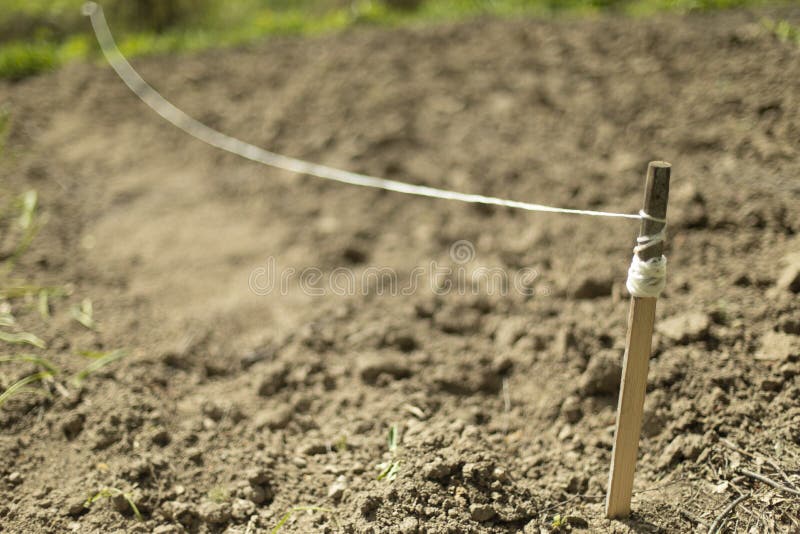 Marking of Land Plot. Thread is Stretched Above Ground Stock Image ...