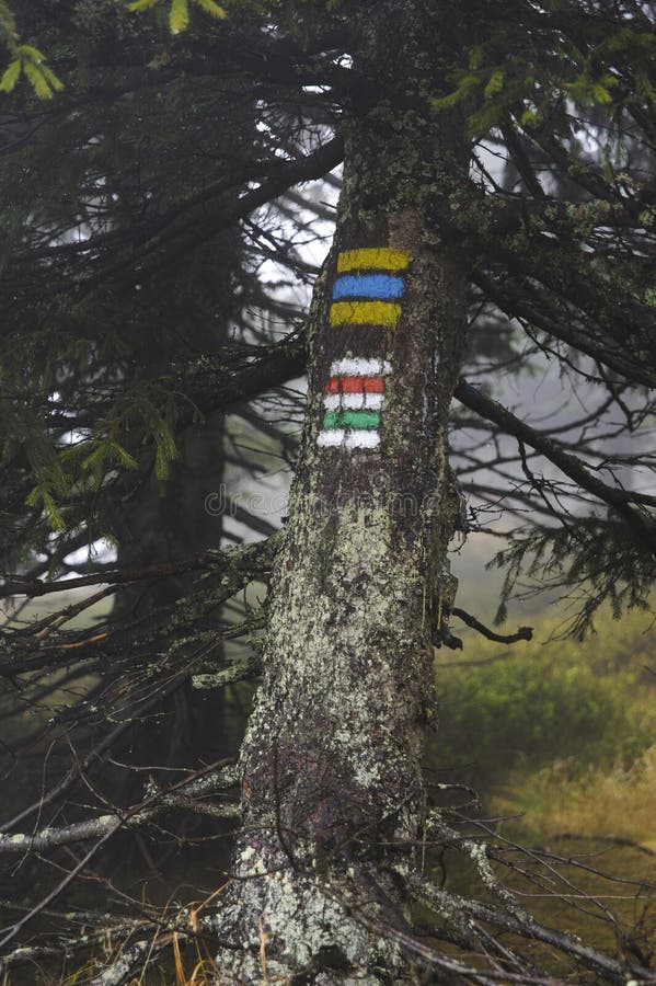 Marking stock image. Image of road, hiking, target, route - 65325389