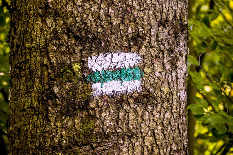 Marking the Tourist Path on a Tree Stock Image - Image of bark, sign ...