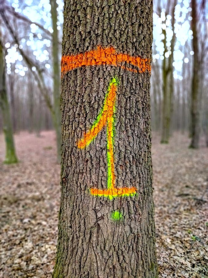 Marking the Tourist Route Painted on the Tree Stock Photo - Image of ...