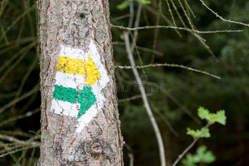 Marking Trails Colored Arrows Stock Photos - Free & Royalty-Free Stock ...