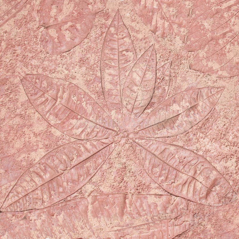 Ancient Retro Marks of Leaf on the Concrete, Leaf Background Stock ...