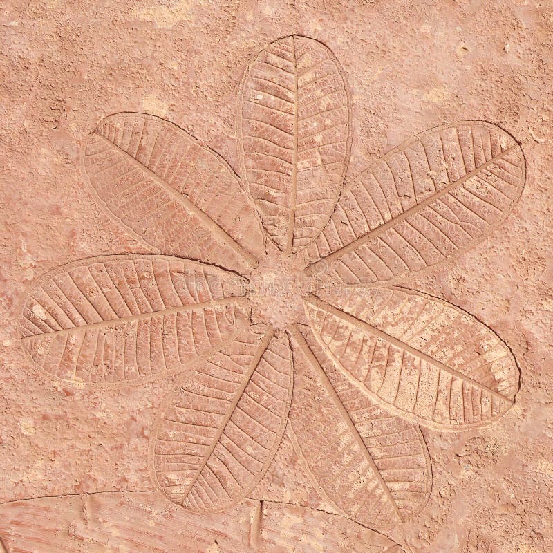 Marks of Leaf on the Concrete Texture Background Stock Photo - Image of ...