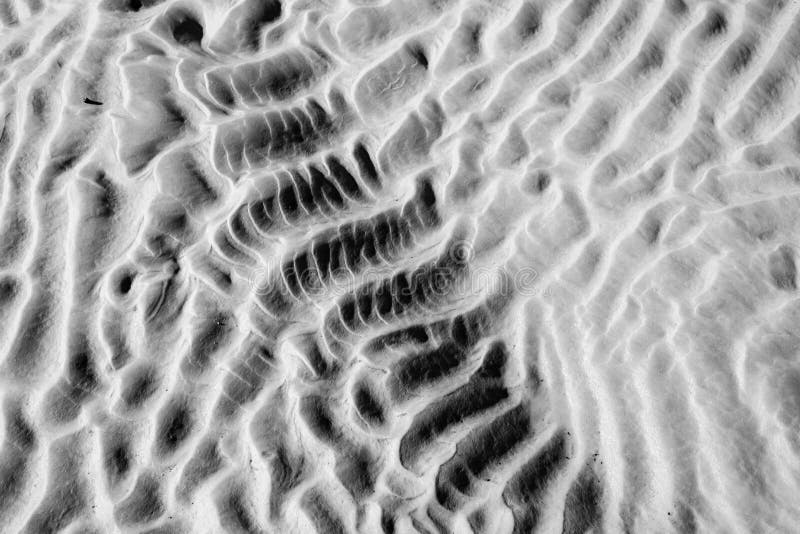 Marks on the sand stock photo. Image of white, shadows - 96005636