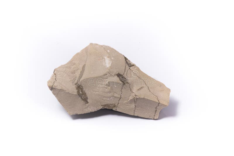Marl stone stock photo. Image of marl, surface, cement - 58523232