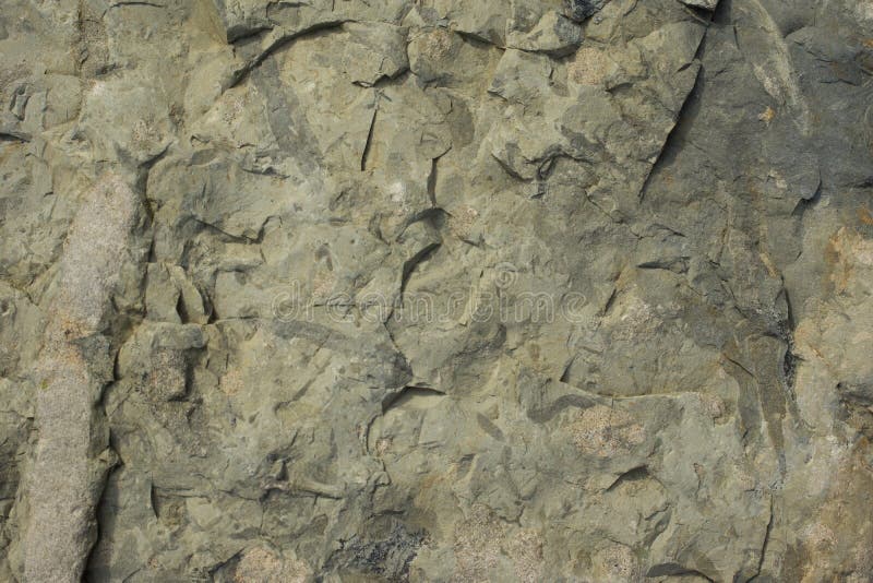 Marl. Texture. stock photo. Image of irregular, gravel - 88215302