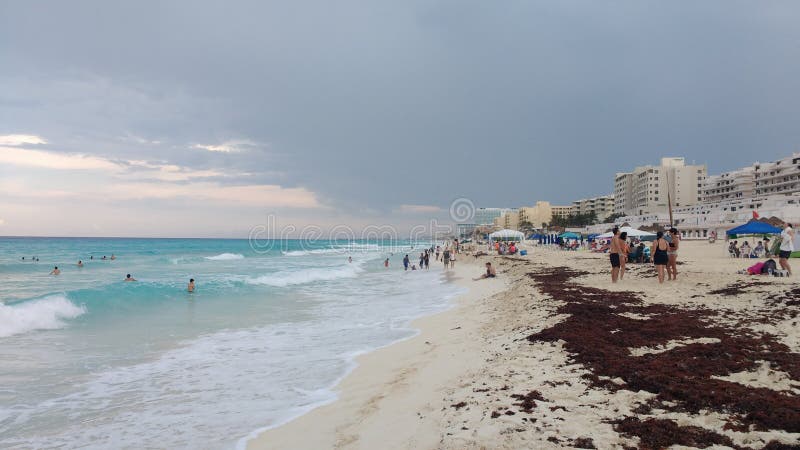 Marlin beach editorial image. Image of sand, beach, marlin - 92440595
