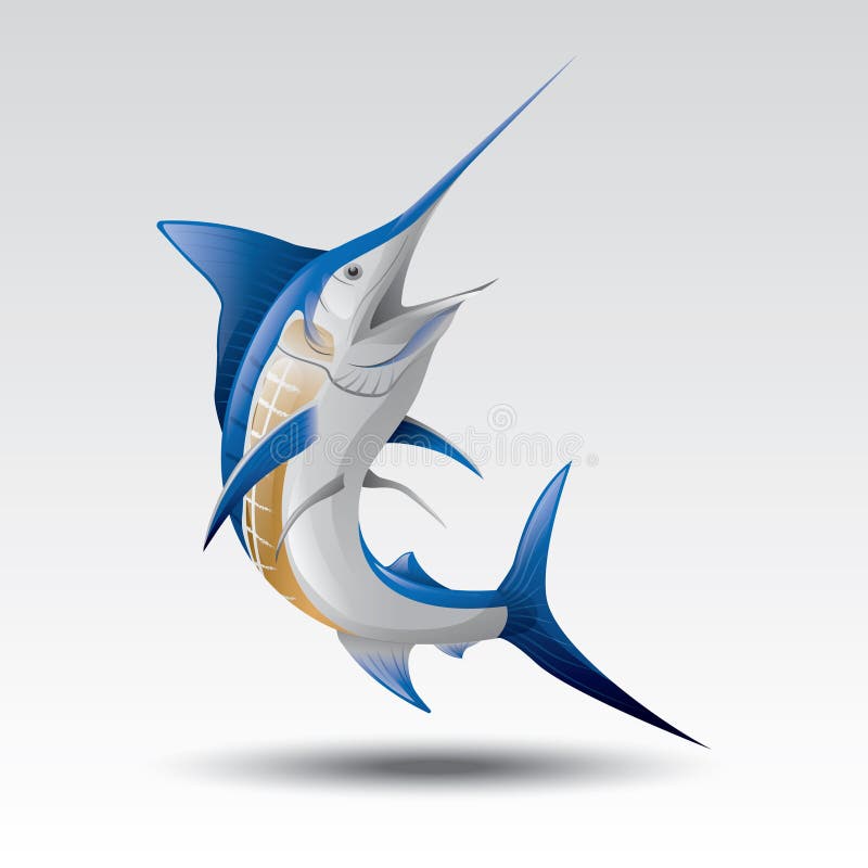 Marlin Fish. Vector Illustration Decorative Design Stock Vector ...