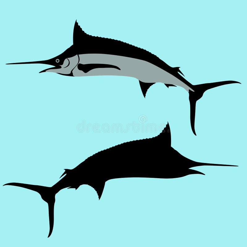 Marlin Fish , Vector Illustration, Flat Style, Side View Stock Vector ...