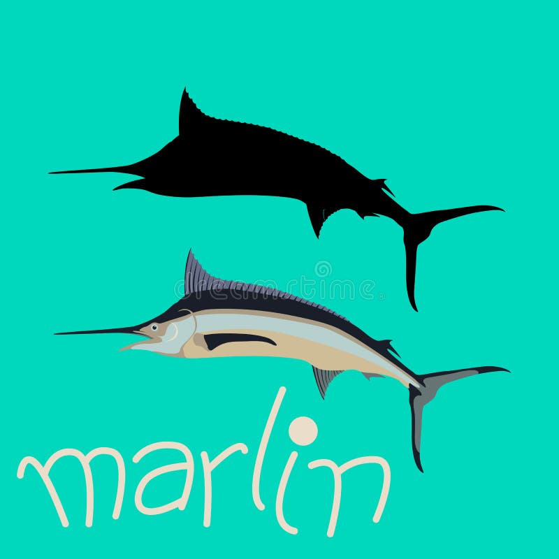 Marlin Fish , Vector Illustration, Flat Style, Side View Stock Vector ...