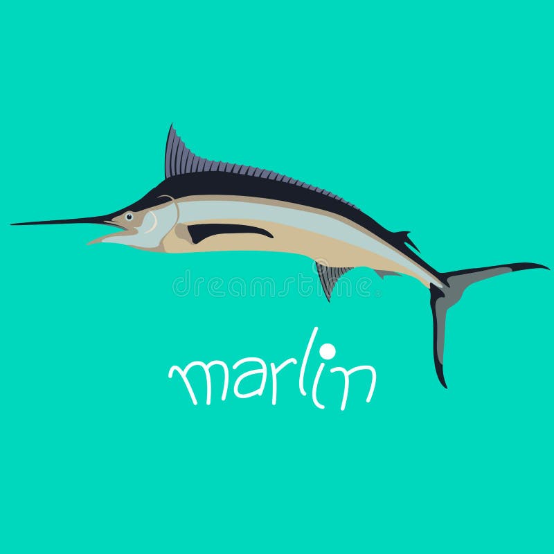 Marlin Fish , Vector Illustration, Flat Style, Side View Stock Vector ...
