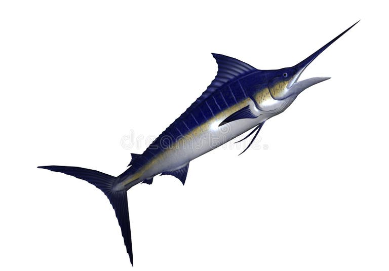 Marlin Artwork Stock Illustrations – 748 Marlin Artwork Stock ...