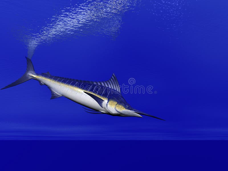 Marlin Swimming stock illustration. Illustration of seafood - 312530