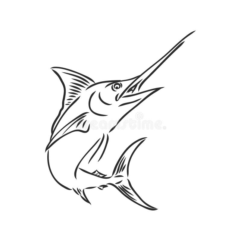 Marlin, Swordfish Zentangle Stylized, Vector, Illustration, Freehand ...
