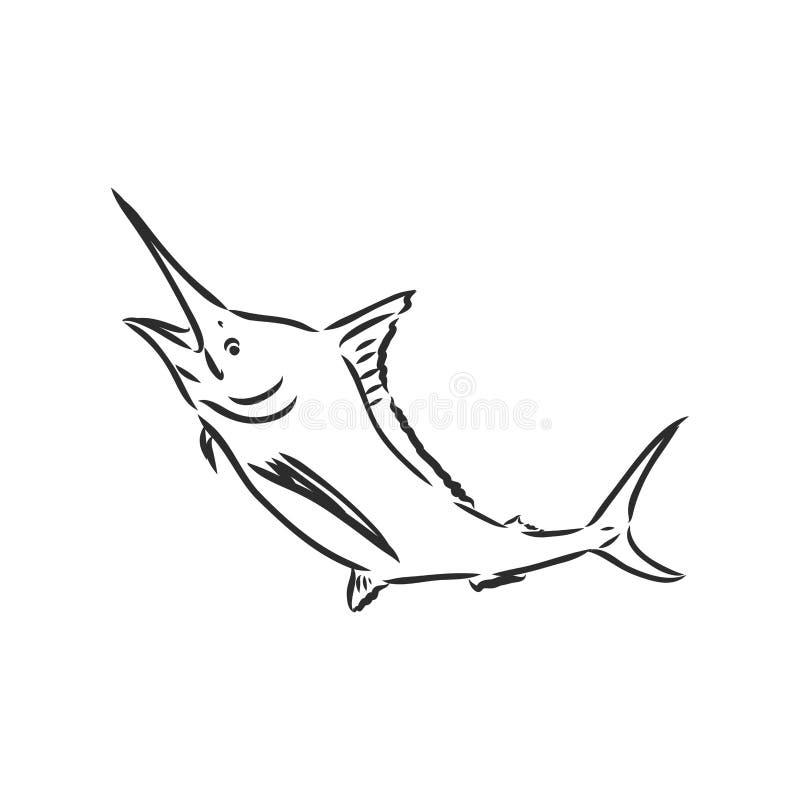 Marlin, Swordfish Zentangle Stylized, Vector, Illustration, Freehand ...