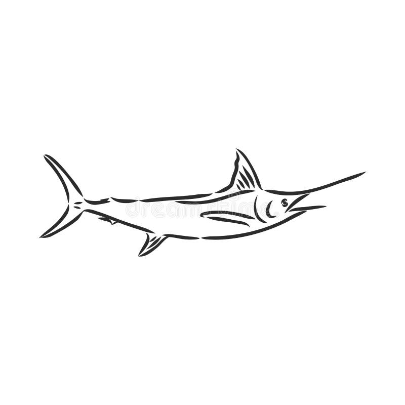 Swordfish Outline