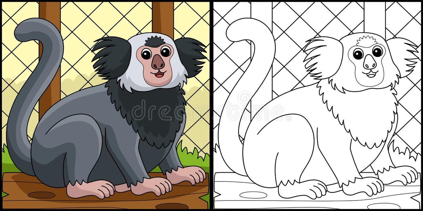 Marmoset Coloring Page Stock Illustrations – 120 Marmoset Coloring Page ... Marmoset Coloring Page Stock Illustrations – 120 Marmoset Coloring Page ...