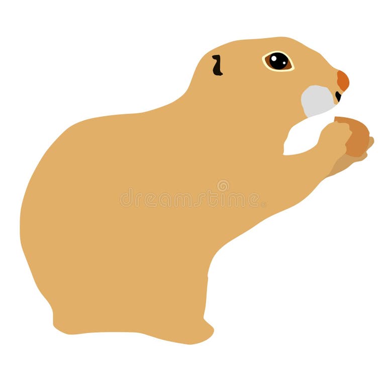 Marmot Icon Stock Illustrations – 2,914 Marmot Icon Stock Illustrations ...