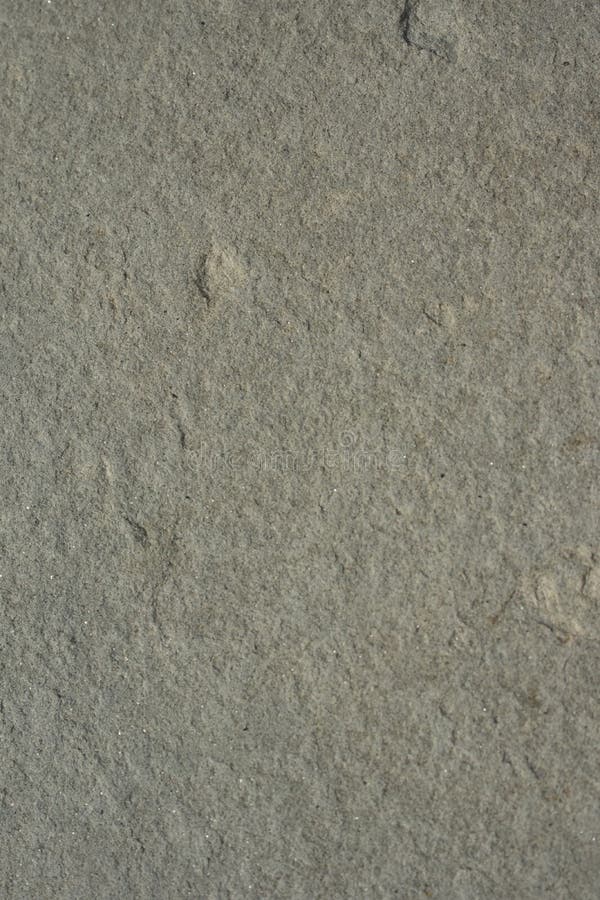 Marne Texture photo stock. Image du matériau, géologie - 88215302