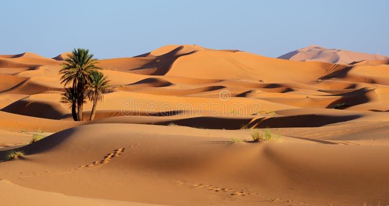 Marokko Sanddünen Von Sahara-Wüste Stockbild - Bild von wüste, sonne ...