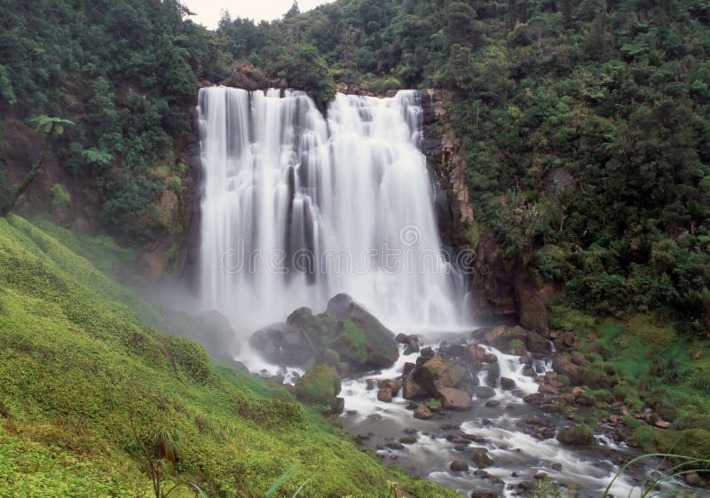 Marokopa Falls stock image. Image of nature, zealand, landscape - 4806873