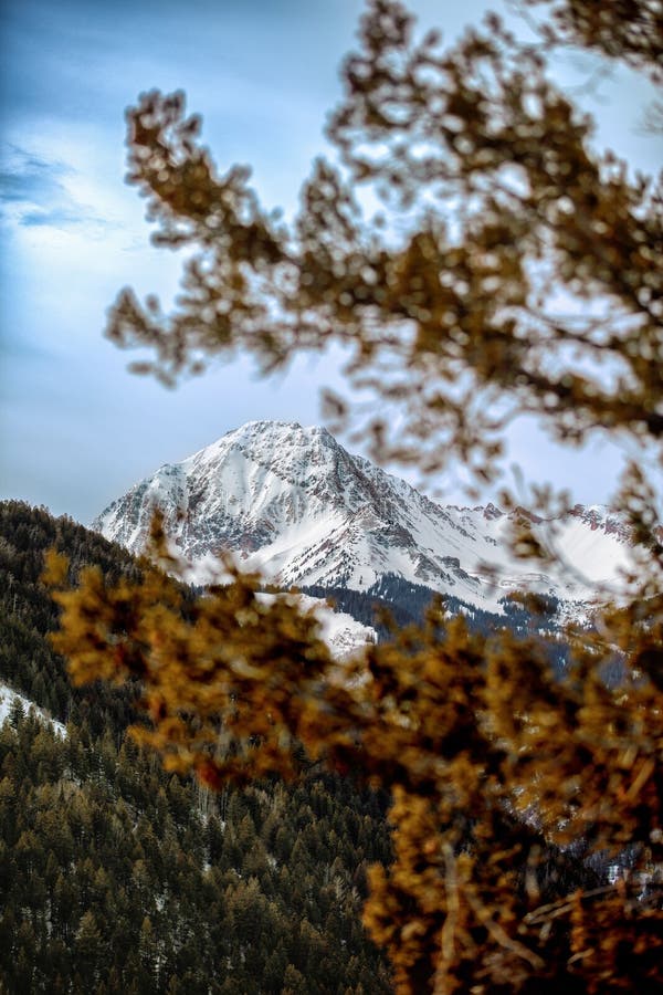 Maroon bells during fall stock image. Image of national - 116120983