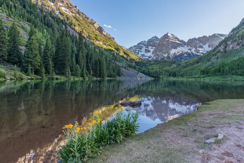 Maroon Bells Summer Reflection Stock Image - Image of aspen, landscape ...