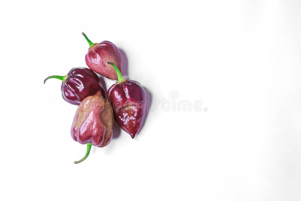 Maroon, Especias De Chile Indio Foto de archivo - Imagen de picante ...