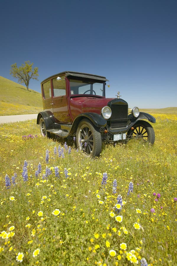 A Maroon Model T Driving Down a Scenic Road Surrounded by Spring ...