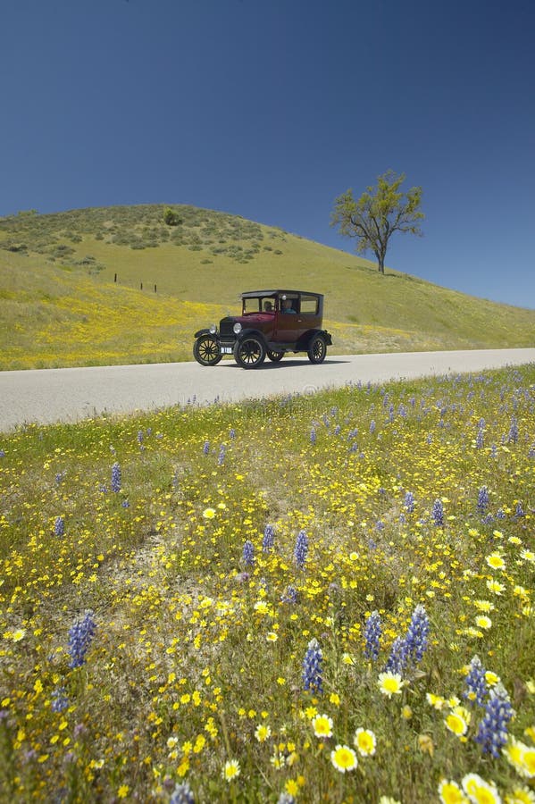 A Maroon Model T Driving Down a Scenic Road Surrounded by Spring ...