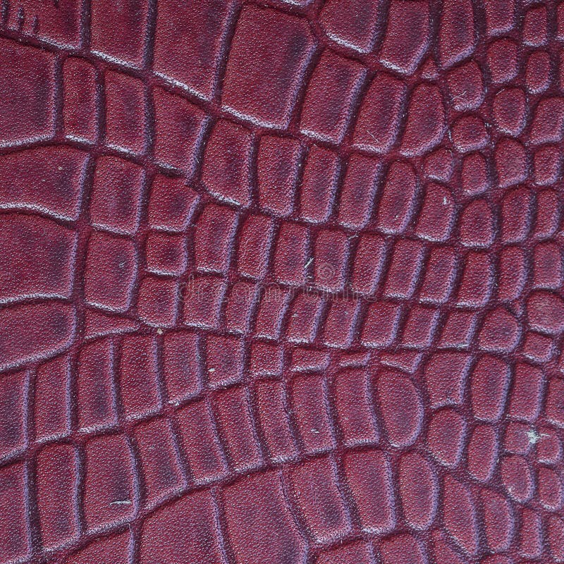 Maroon Textured Skin Texture. Stock Photo - Image of pattern, abstract ...