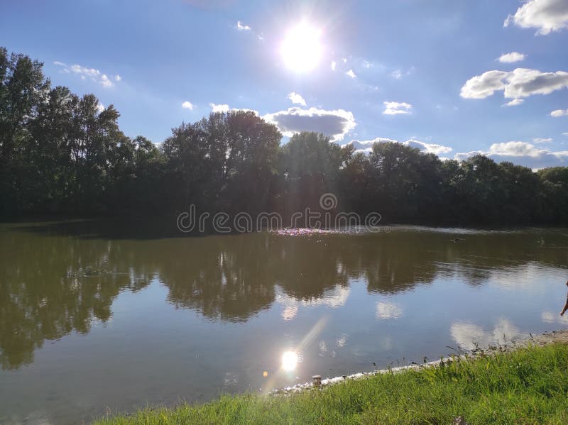 Maros folyÃ³ stock image. Image of river, water, maros - 217554093