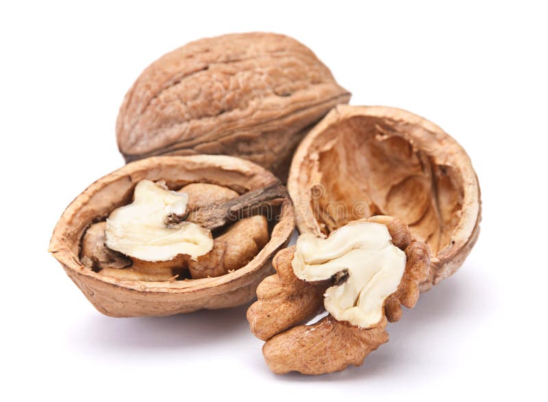 Abra la nuez foto de archivo. Imagen de blanco, nutshell - 26124674