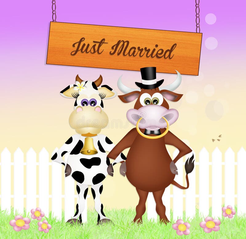 Wedding of cows stock illustration. Illustration of nature - 37212380