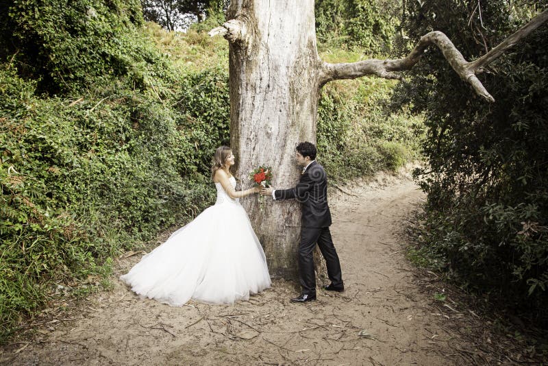 Marriage in forest tree stock photo. Image of bride, happy - 80507022