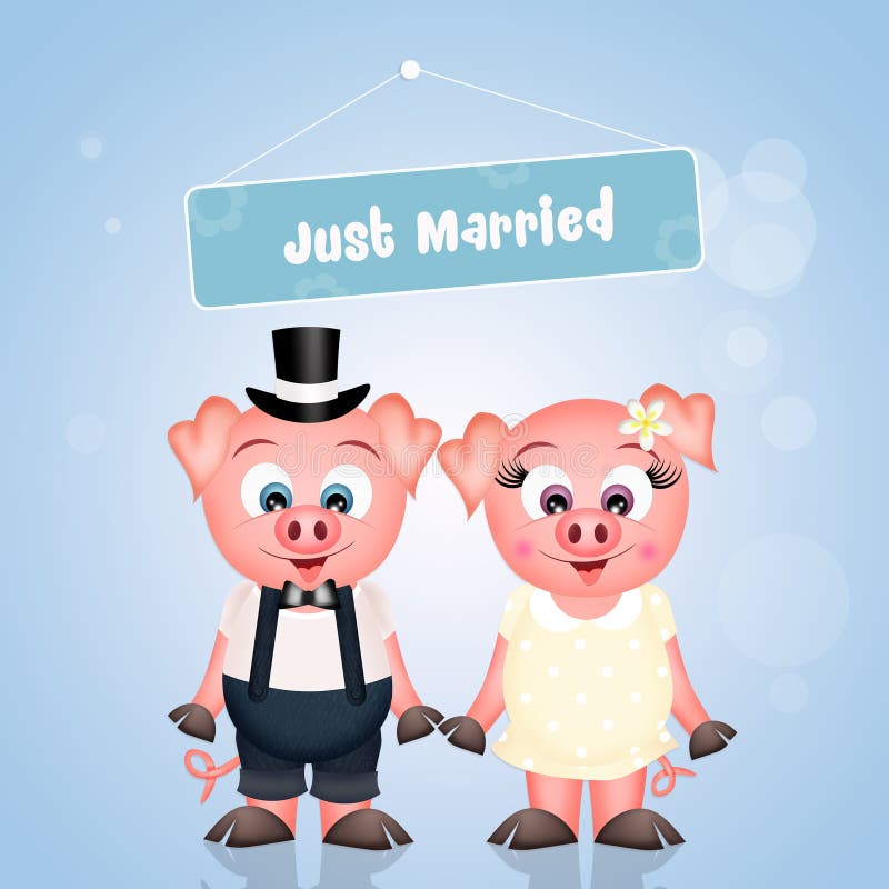 Marriage of pigs stock illustration. Illustration of spouses - 92508664