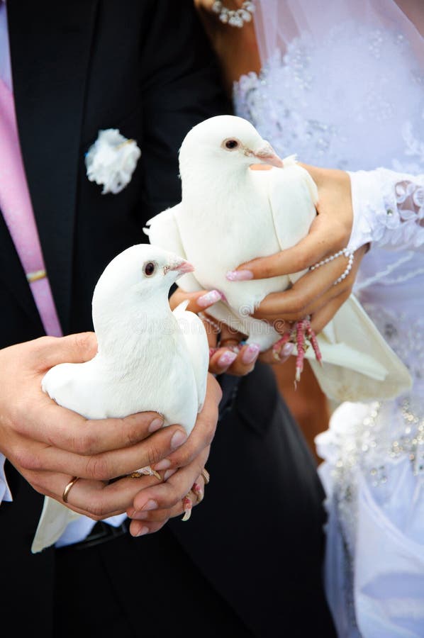 A Married Couple Holding Doves in Hands. Holiday Tradition Stock Photo ...