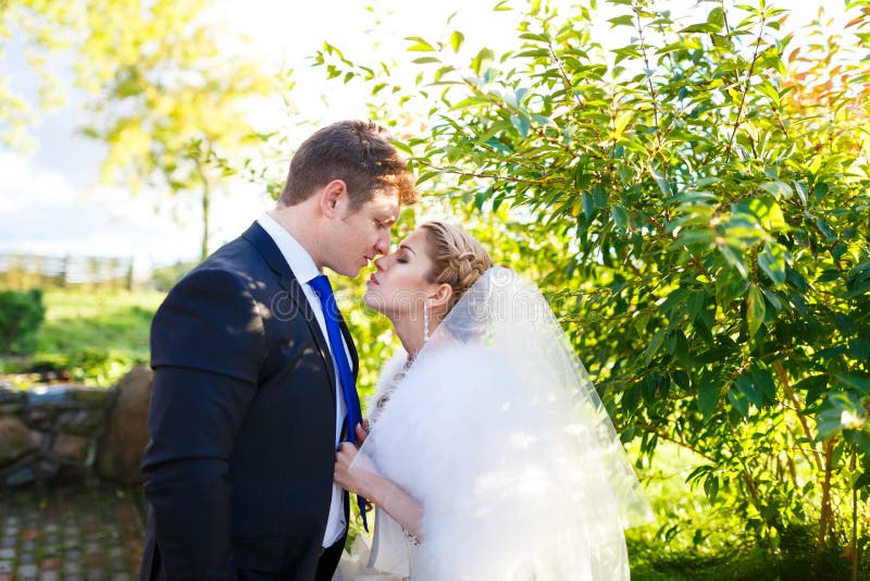 Married Couple Together stock image. Image of dress, affectionate ...