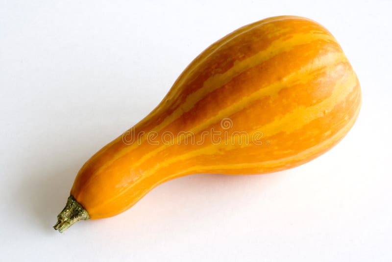 Marrow stock photo. Image of food, colorful, pumpkin, diet - 1797728