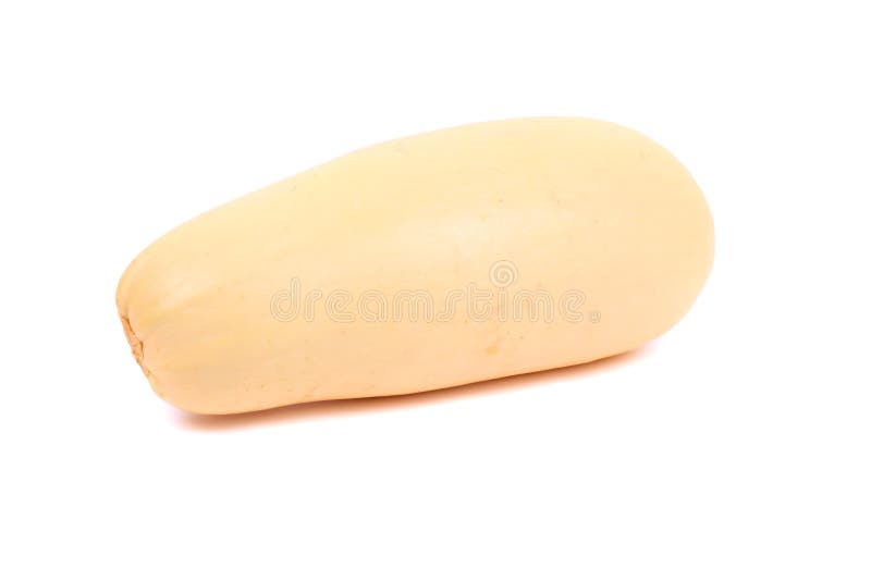 Marrow stock image. Image of health, cuisine, lunch, harvest - 35385327