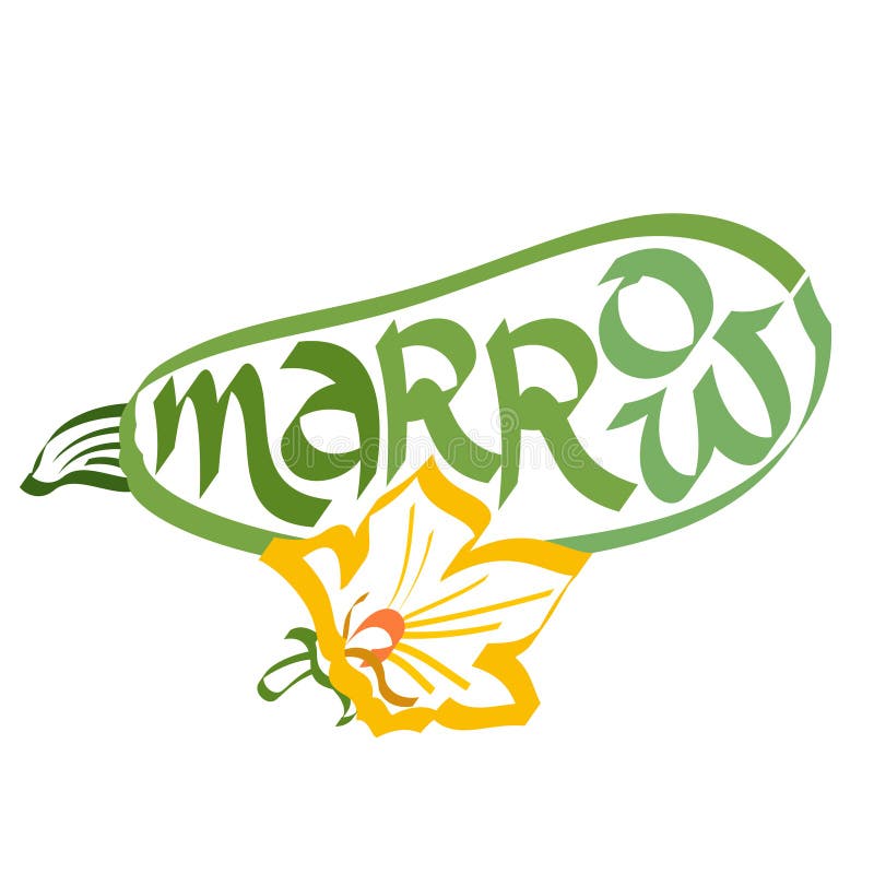 Marrow Stock Illustrations – 5,978 Marrow Stock Illustrations, Vectors ...