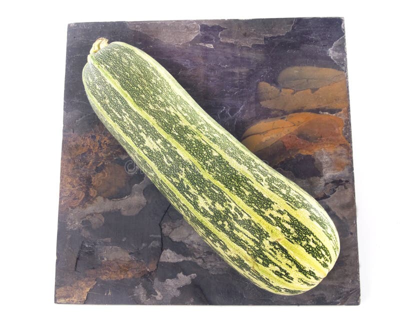 Marrow stock photo. Image of plant, ripe, nutrient, vegetarian - 71285932
