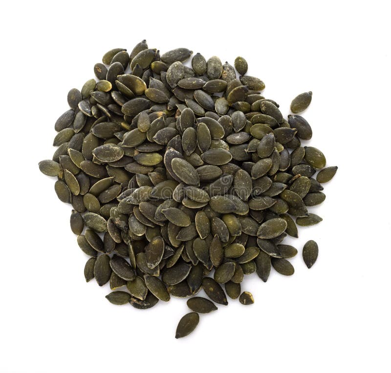 Marrow seed in studio stock image. Image of studio, food - 223576745