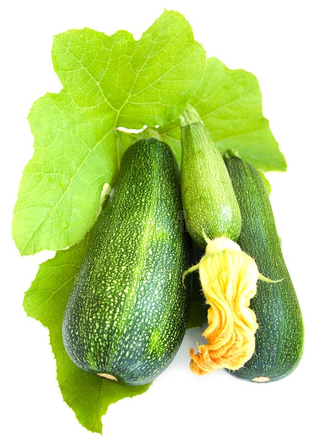 Marrows stock image. Image of fruit, white, fresh, vegetables - 623881