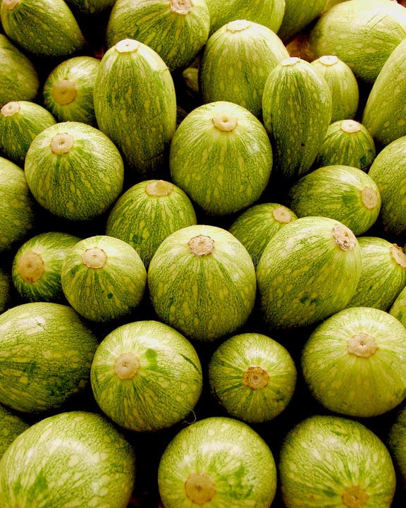 Marrows stock image. Image of prado, vegetarian, white - 623881